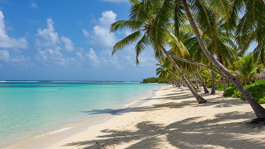 Las Mejores Playas de Isla Saona - Adamanay Tours